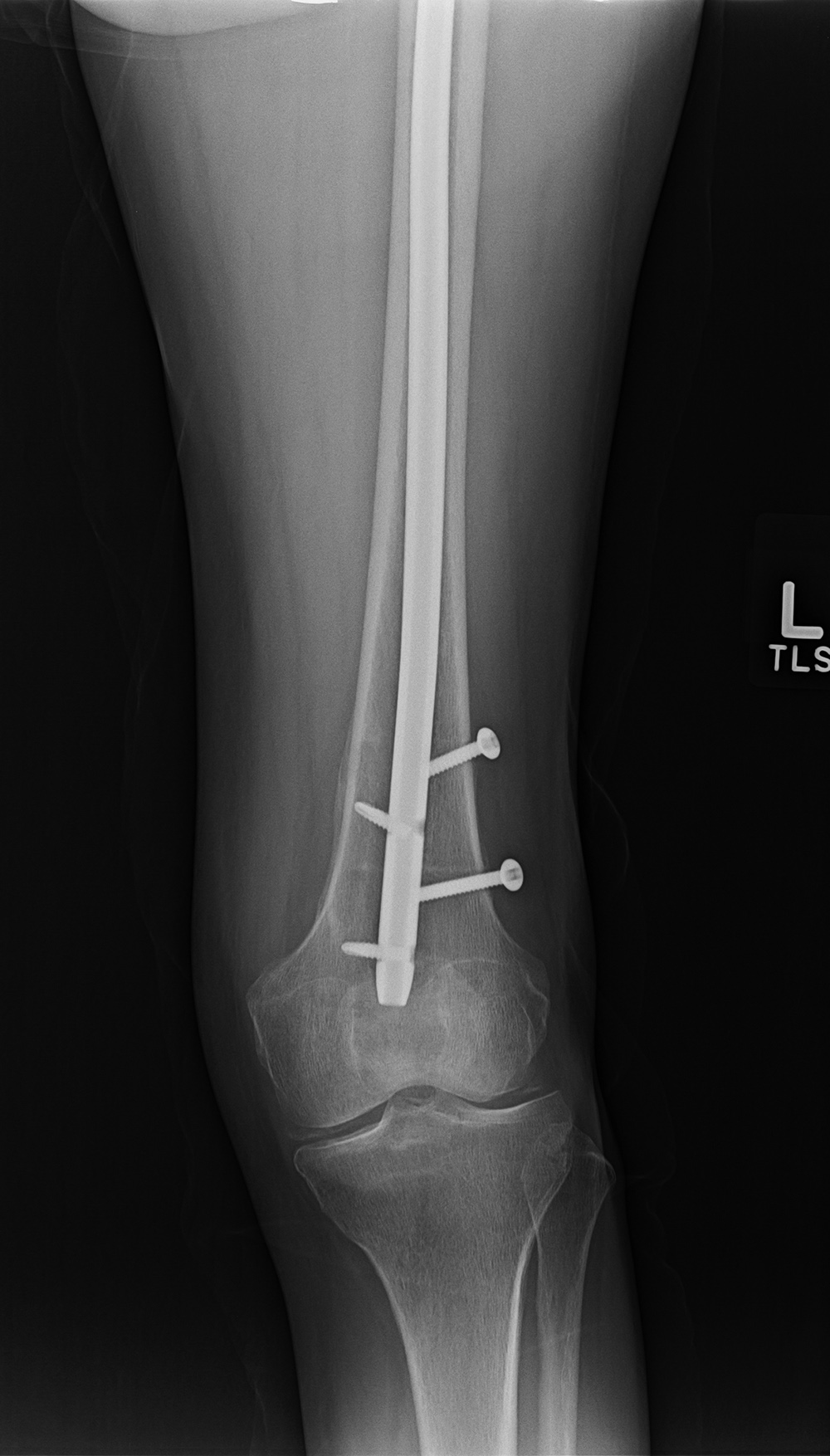 Medical Apparatus Imaging Guide